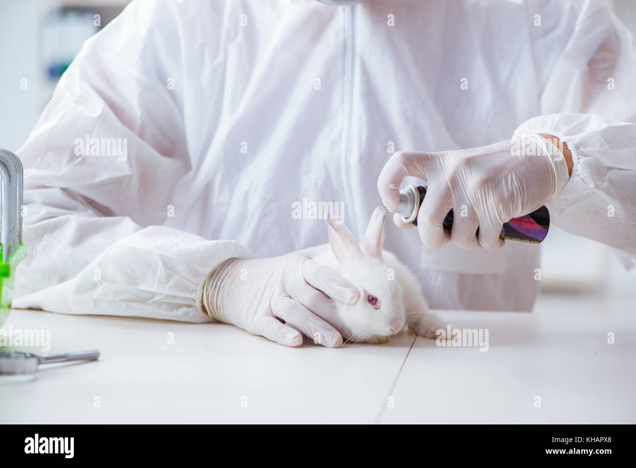 Scientist doing animal experiment in lab with rabbit Stock Photo - Alamy