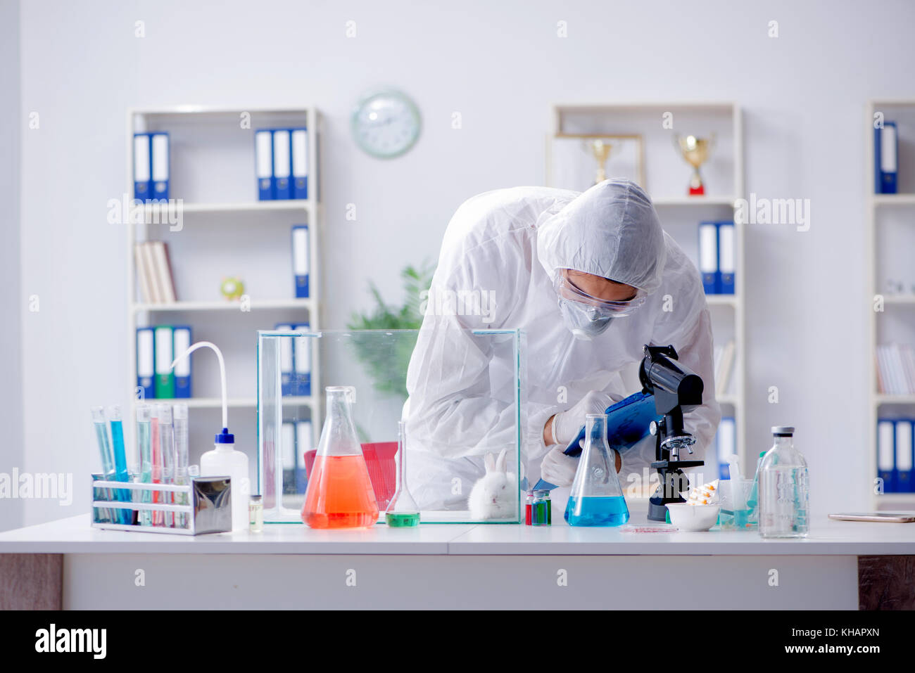 Scientist doing animal experiment in lab with rabbit Stock Photo - Alamy