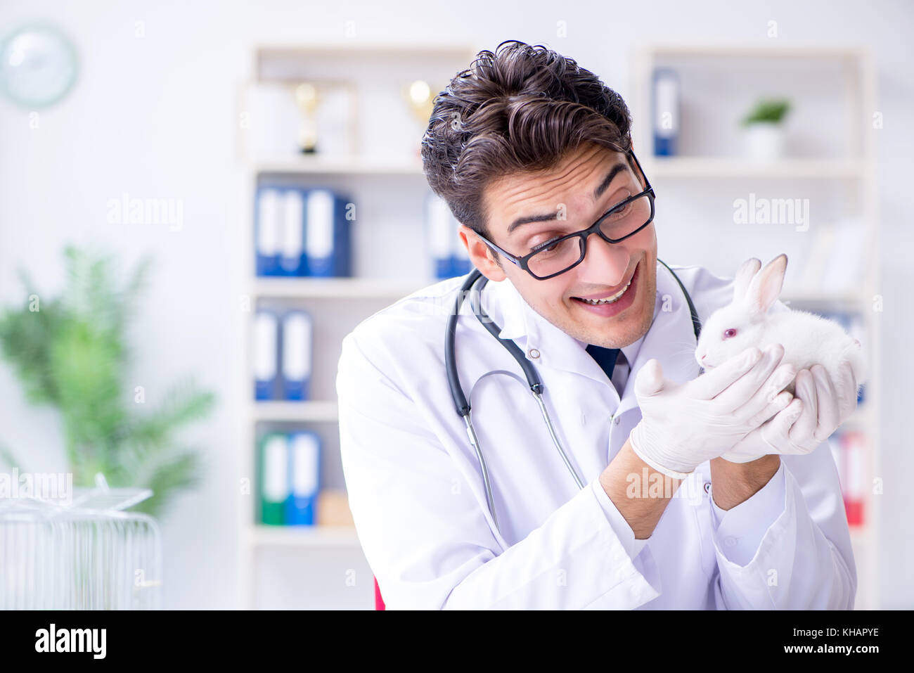 Vet doctor examining rabbit in pet hospital Stock Photo - Alamy
