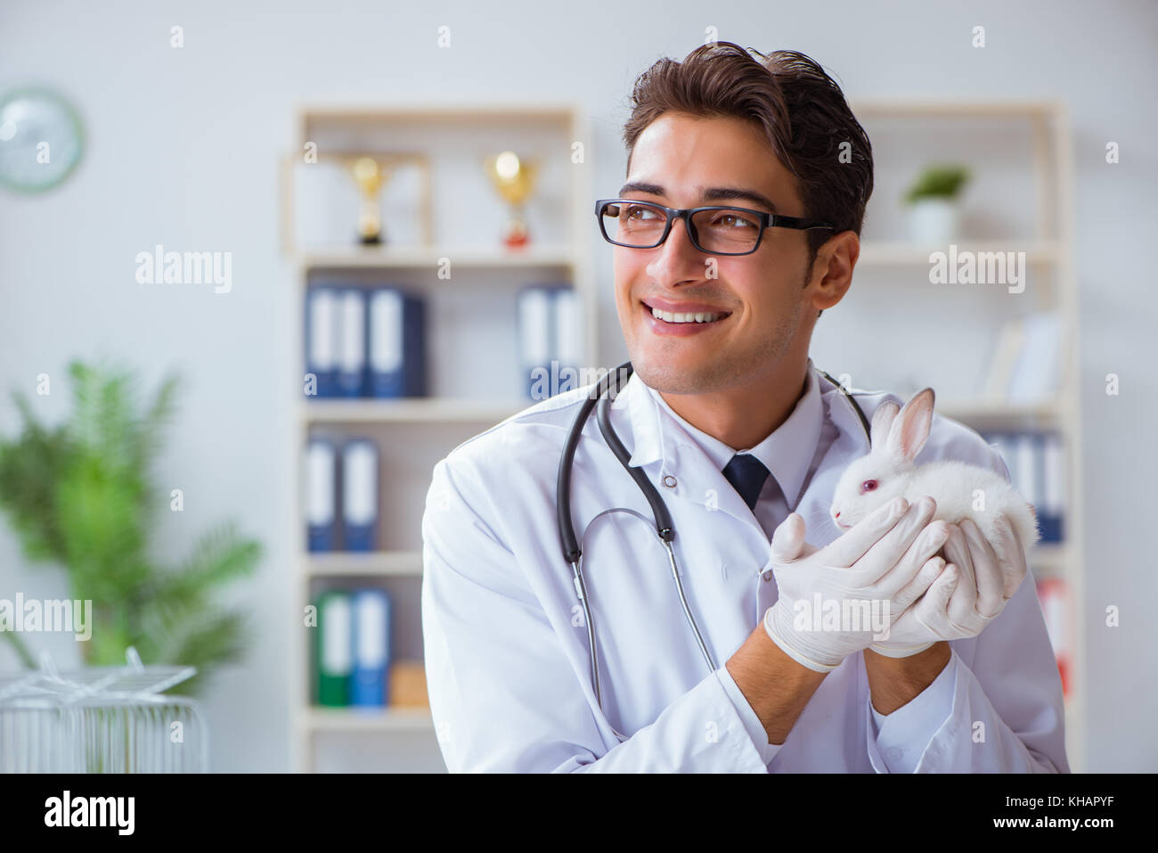 Vet doctor examining rabbit in pet hospital Stock Photo - Alamy