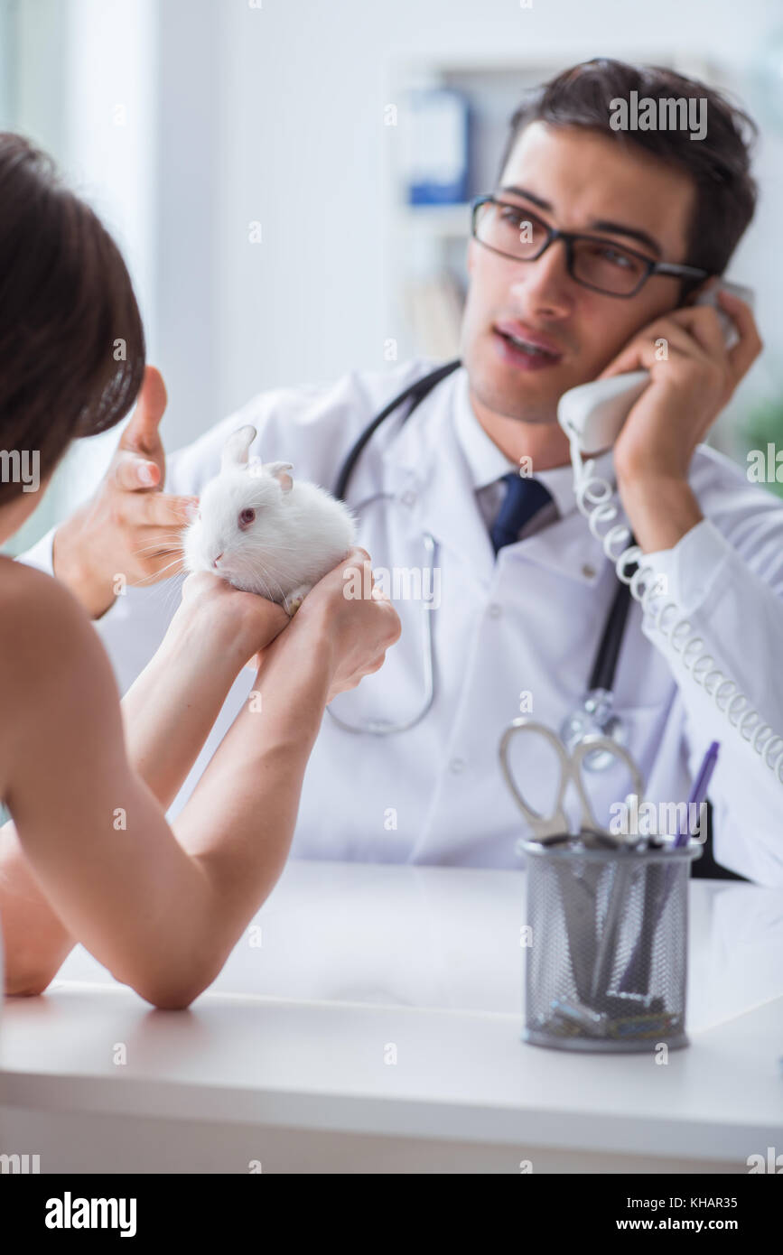 Woman with pet rabbit visiting vet doctor Stock Photo - Alamy