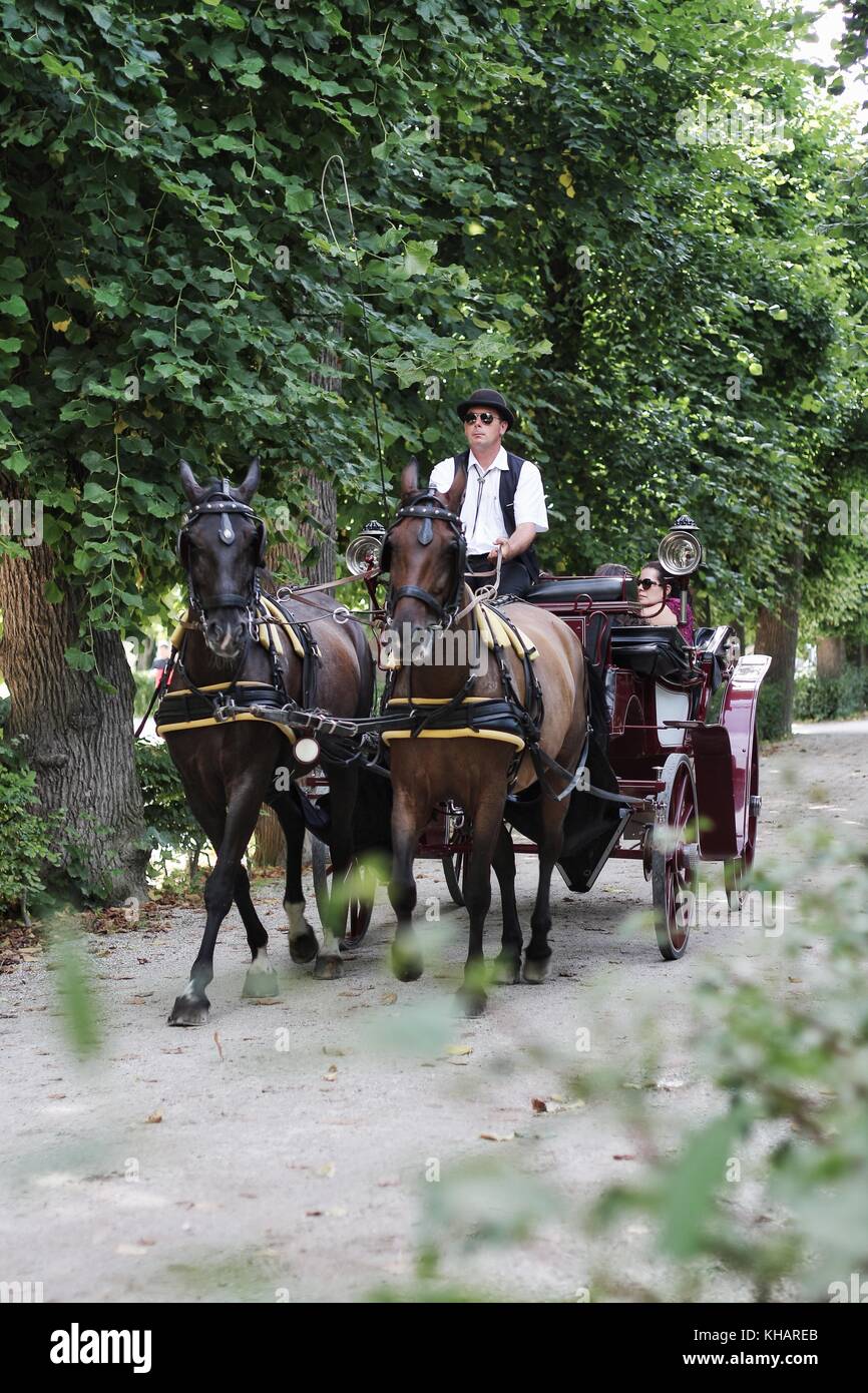 Fiacre carriage hi-res stock photography and images - Alamy