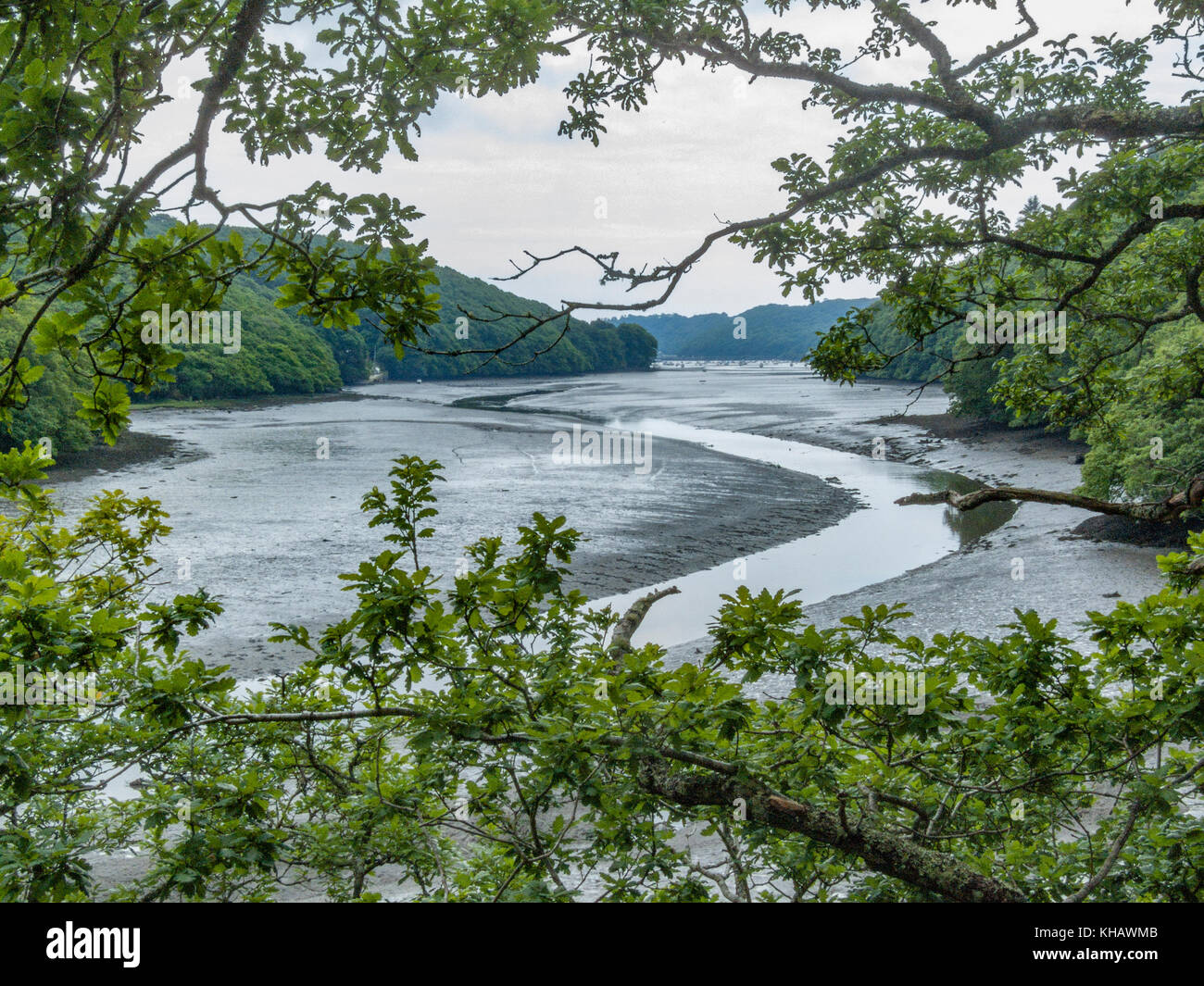 River Lerryn / Lerryn Creek - a tributary of the River Fowey (joins to ...
