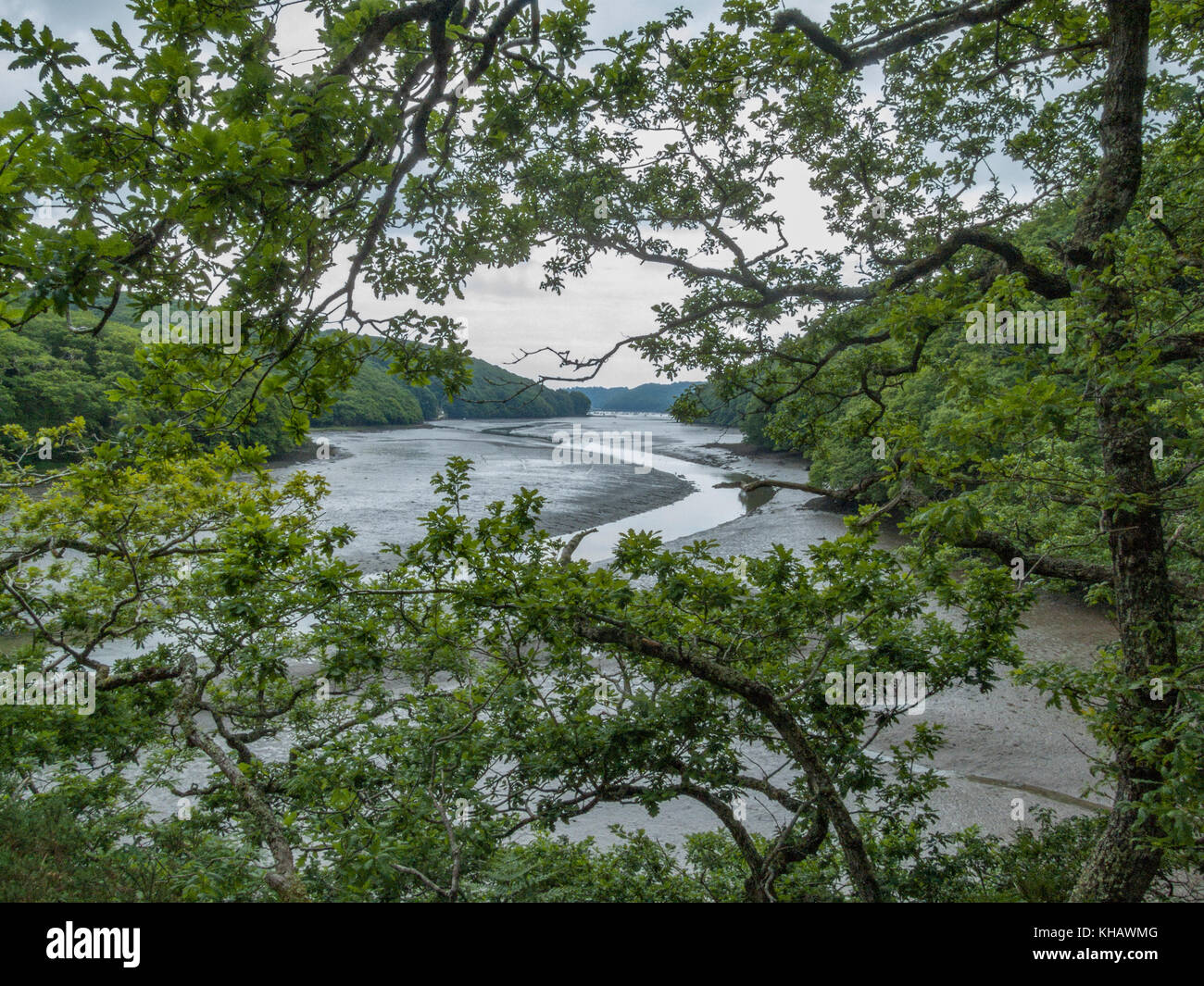 Lerryn village river hi-res stock photography and images - Alamy