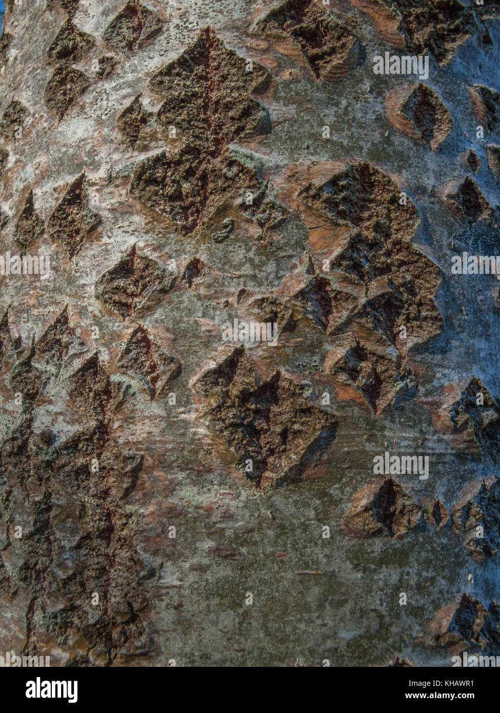 Balta apse hi-res stock photography and images - Alamy