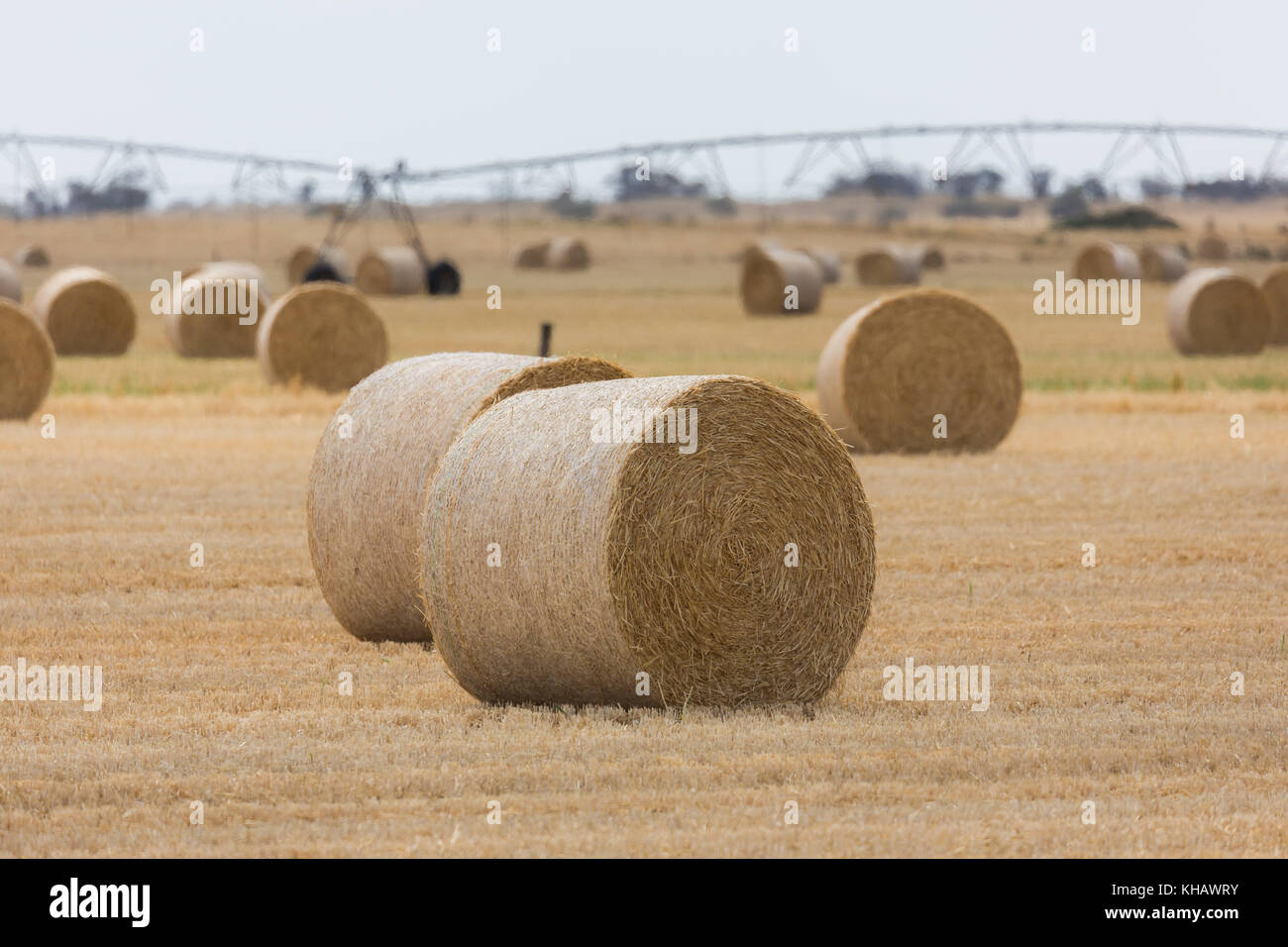 Crops south australia hi-res stock photography and images - Alamy