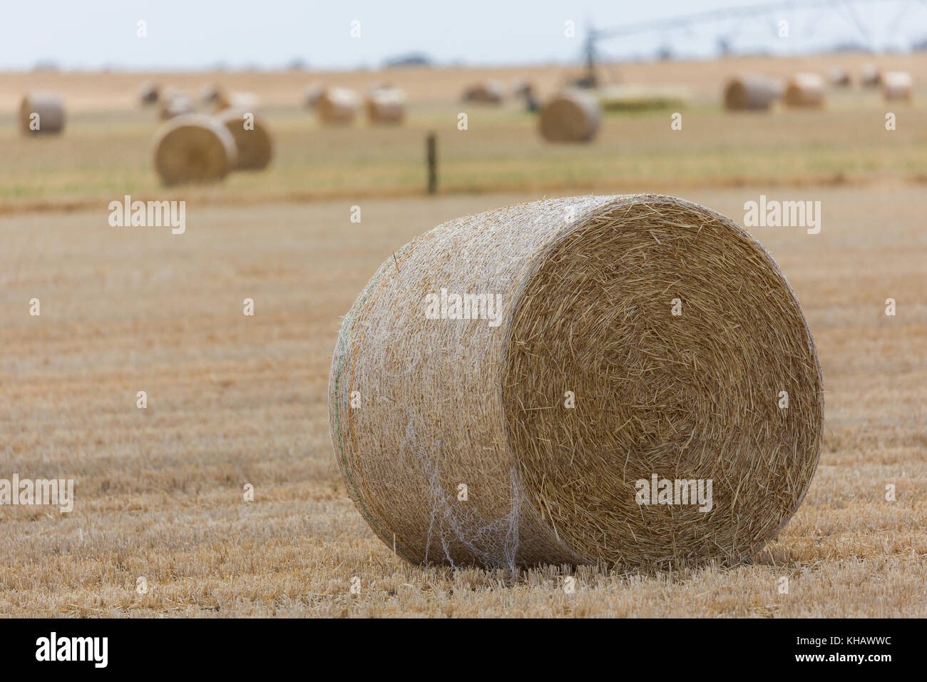 Harvesting hay australia hi-res stock photography and images - Alamy