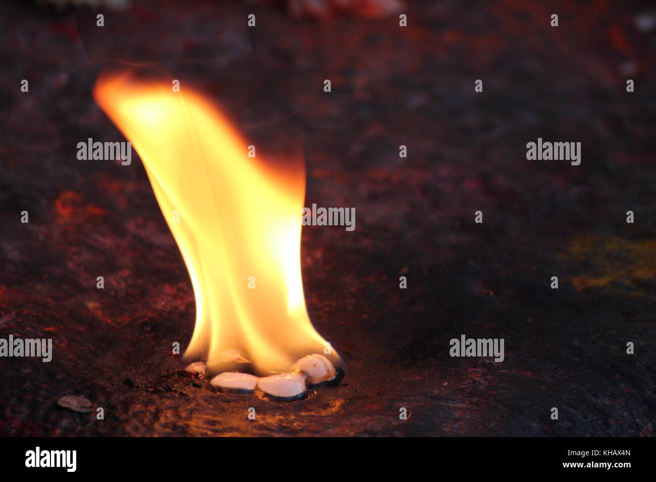 Camphor Stock Photos & Camphor Stock Images - Alamy