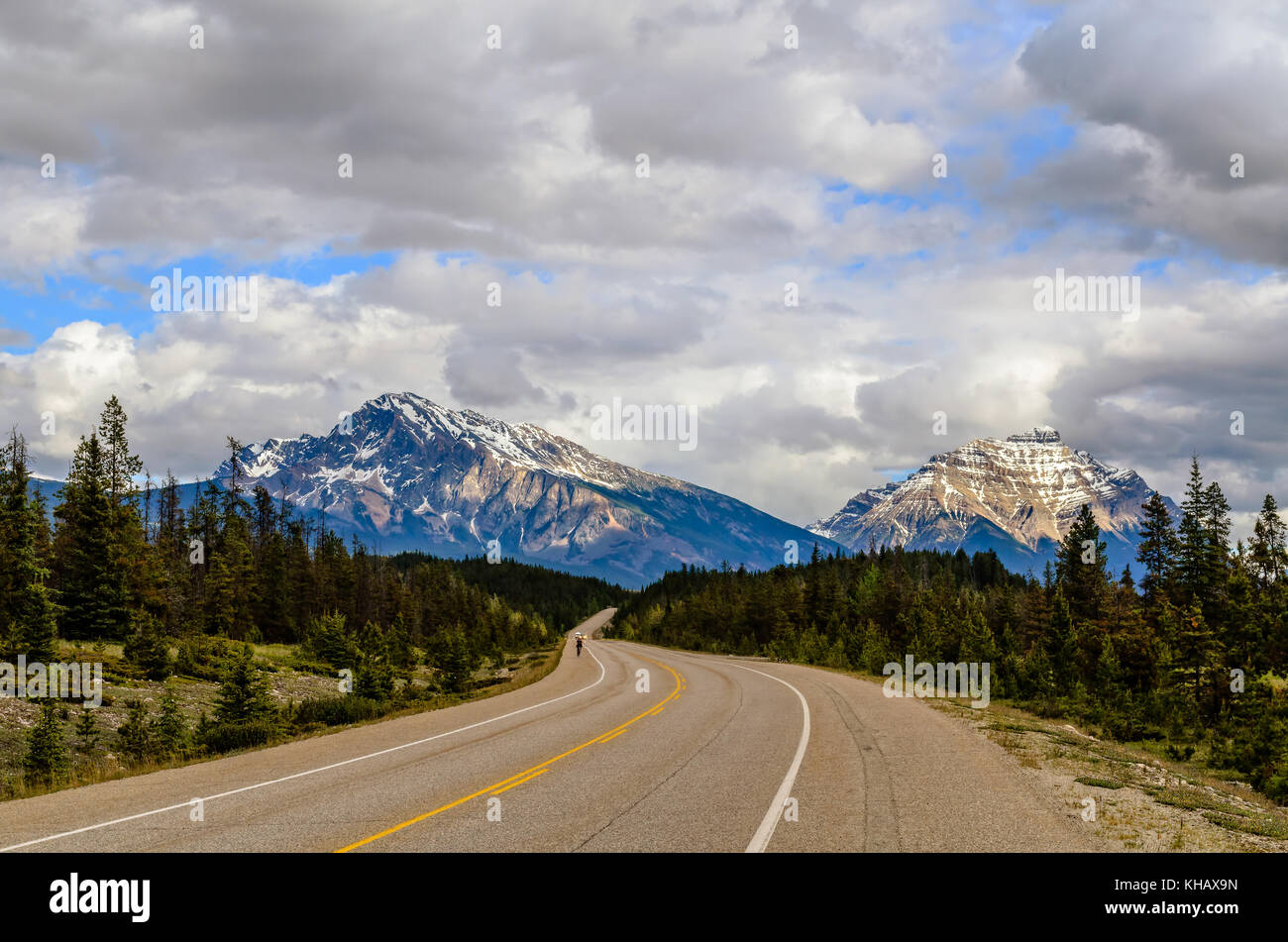 The scenic road, track, path, walkway, avenue, highway Stock Photo - Alamy