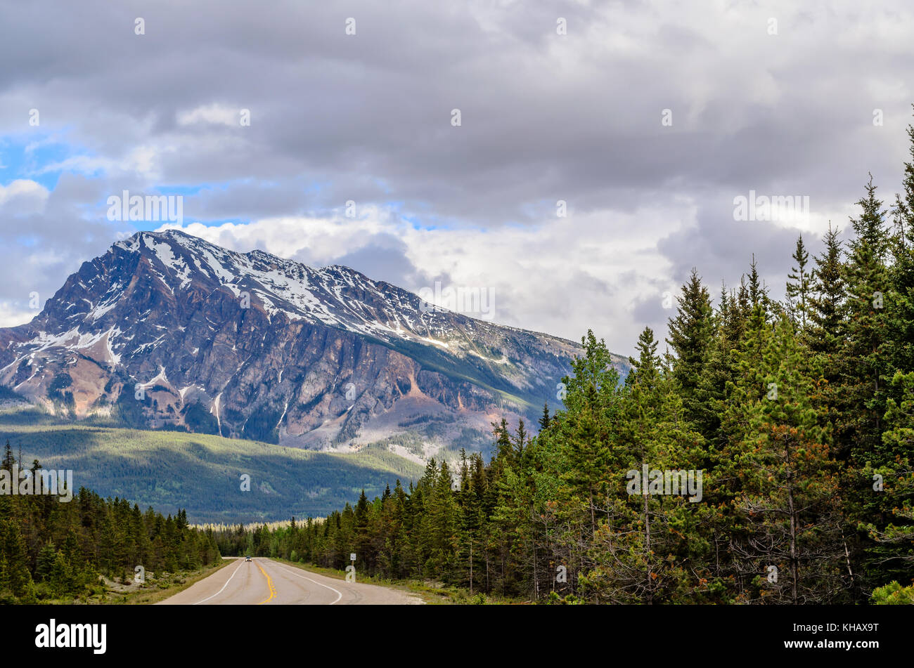 The scenic road, track, path, walkway, avenue, highway Stock Photo - Alamy