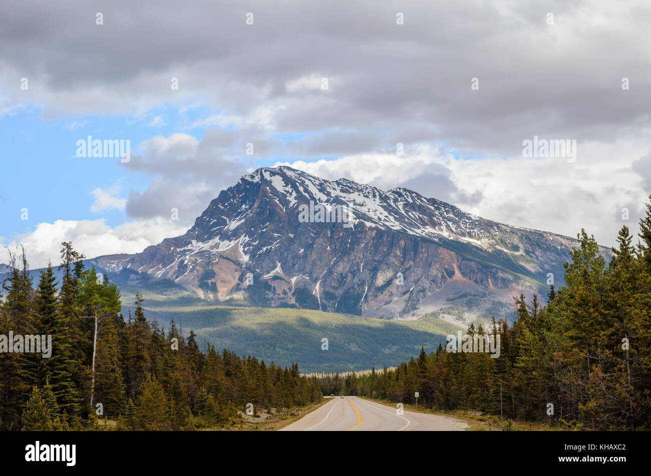 The scenic road, track, path, walkway, avenue, highway Stock Photo - Alamy