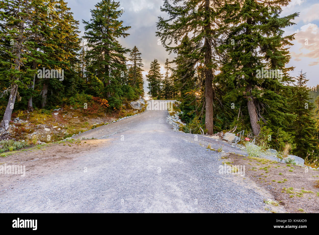 The scenic road, track, path, walkway, avenue, highway Stock Photo - Alamy