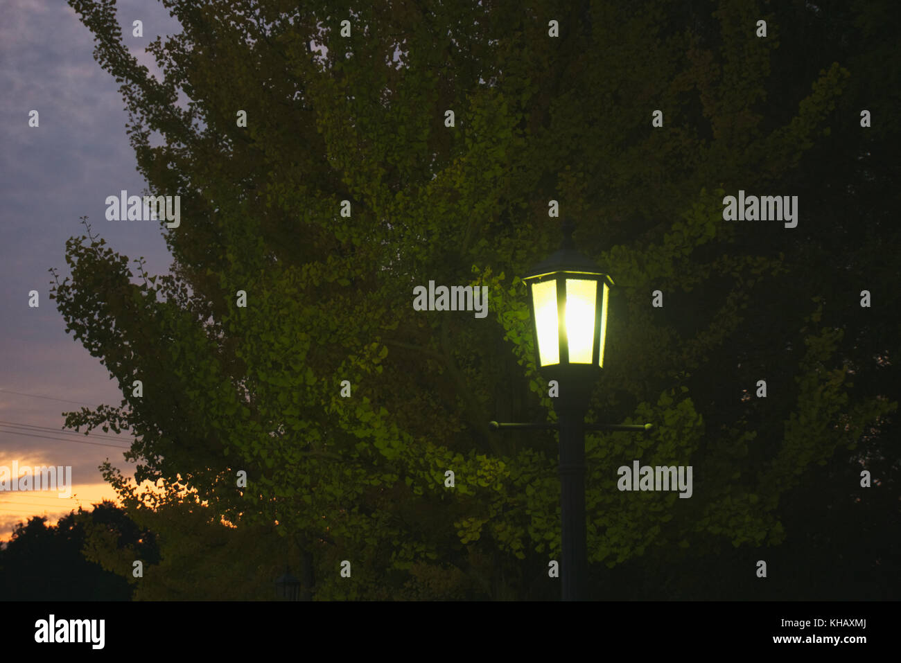 Lamp post and sunset hi-res stock photography and images - Alamy