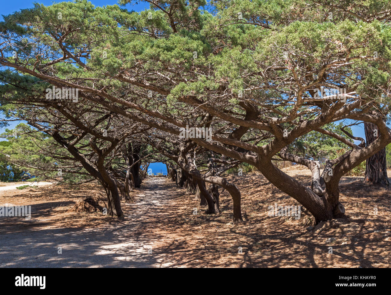 Monastery on Filerimos, Rhodes, Greece Stock Photo - Alamy