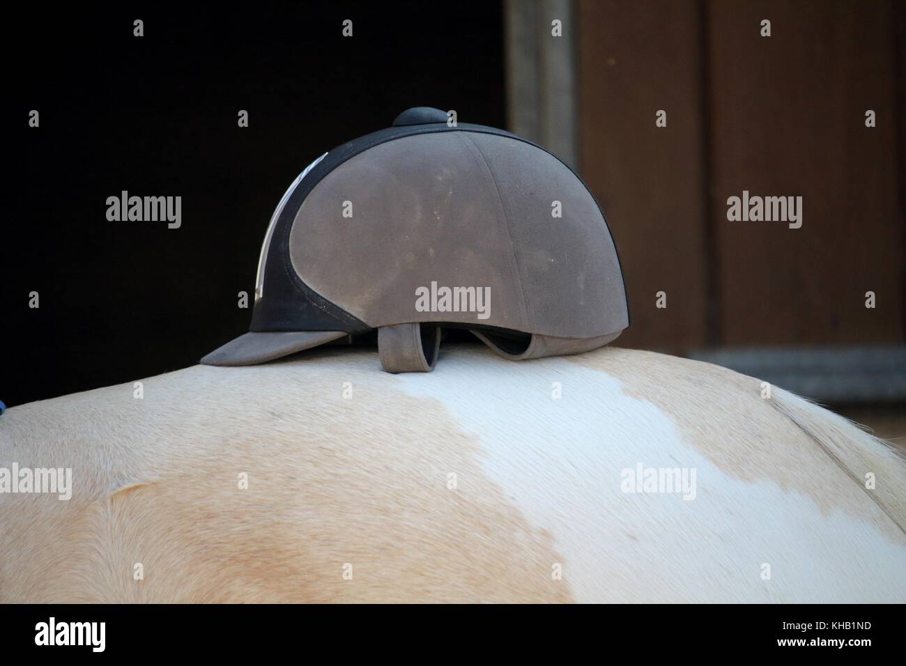 Equitation bomb cap placed on the rump of the horse Stock Photo - Alamy