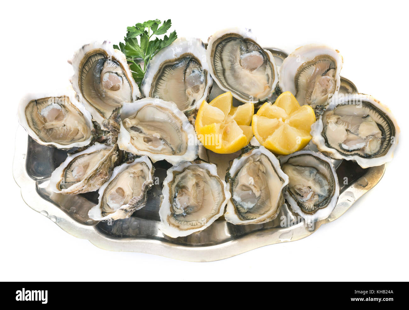 open oysters in front of white background Stock Photo - Alamy