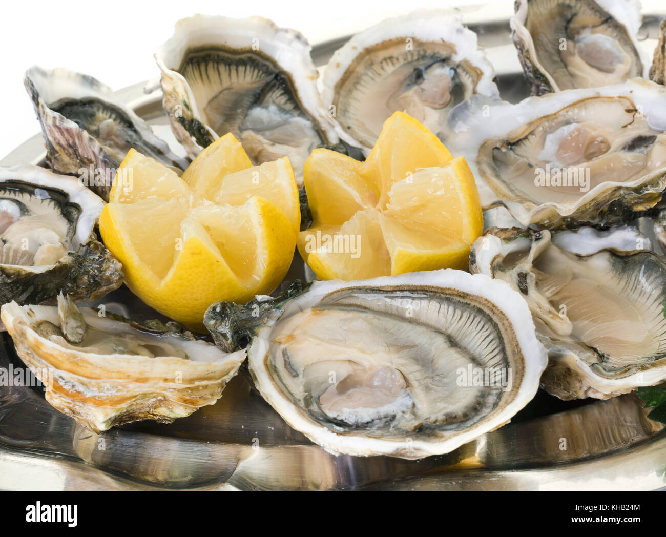 Oysters open in shells hi-res stock photography and images - Alamy