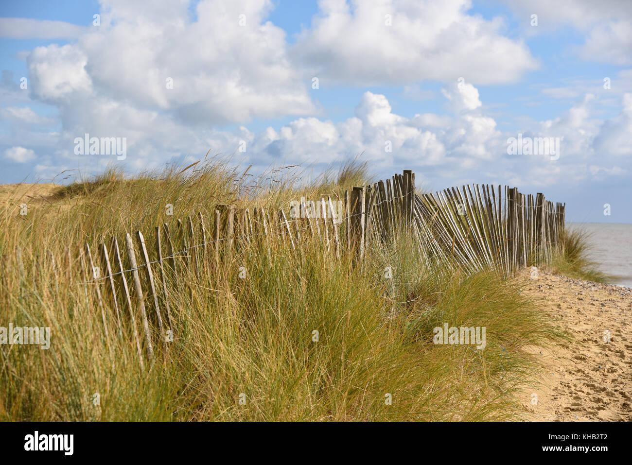 Beautiful old fence in the dunes by a sandy beach in Norfolk, England ...