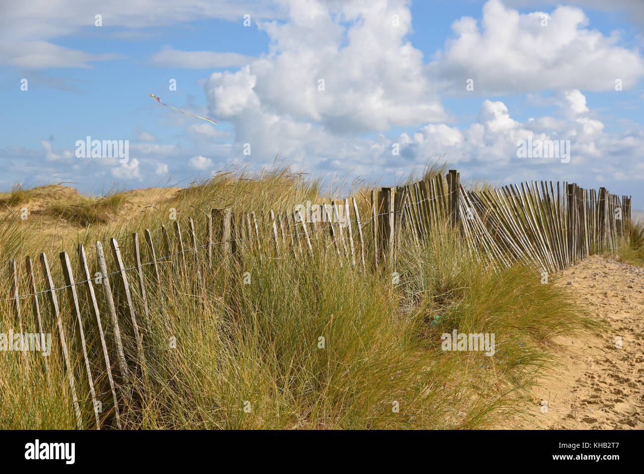 Beautiful old fence in sand dunes by the sandy beach in Suffolk with a ...
