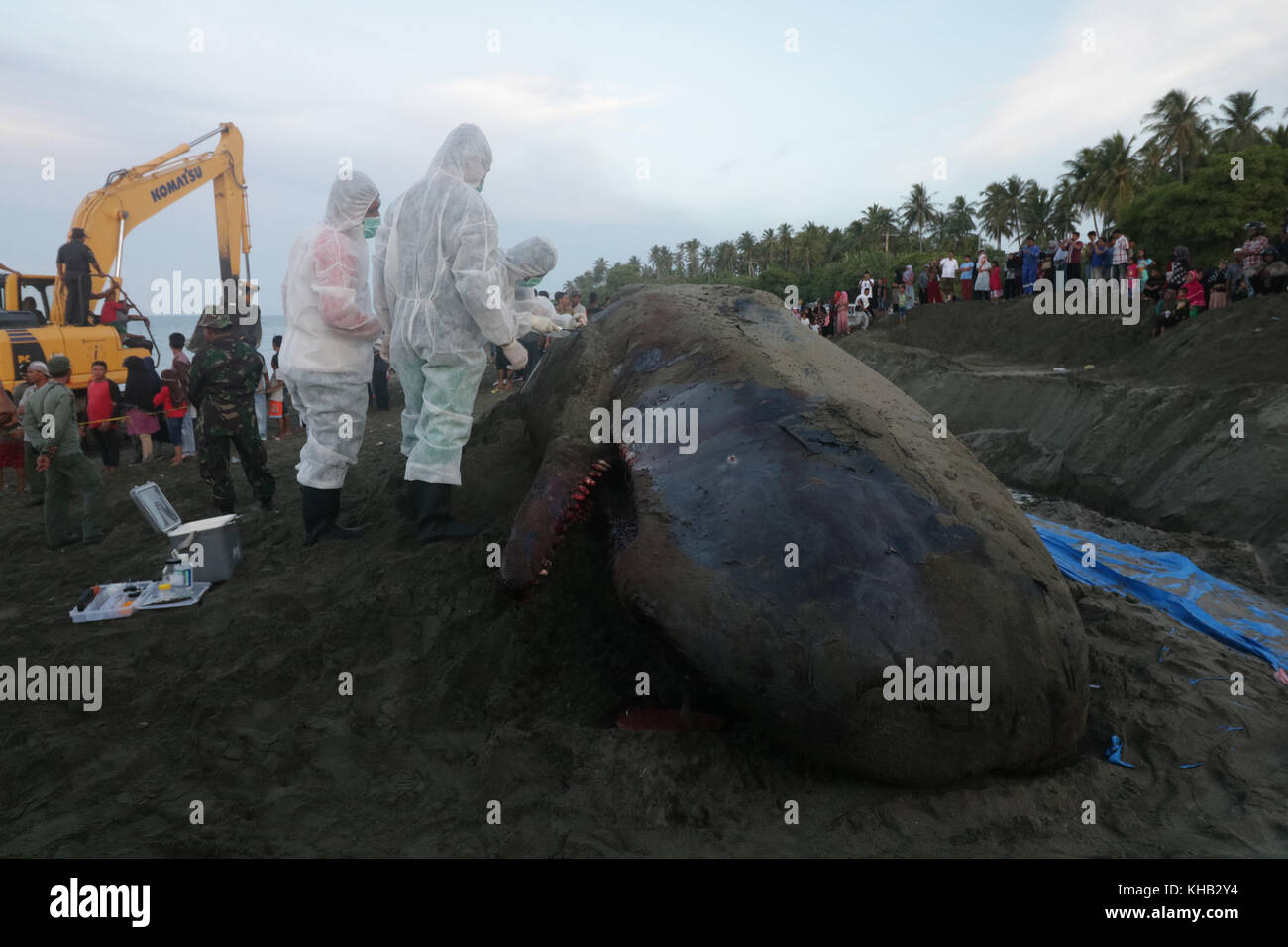 Aceh Besar, Indonesia. 14th Nov, 2017. Officers performed the autopsy ...
