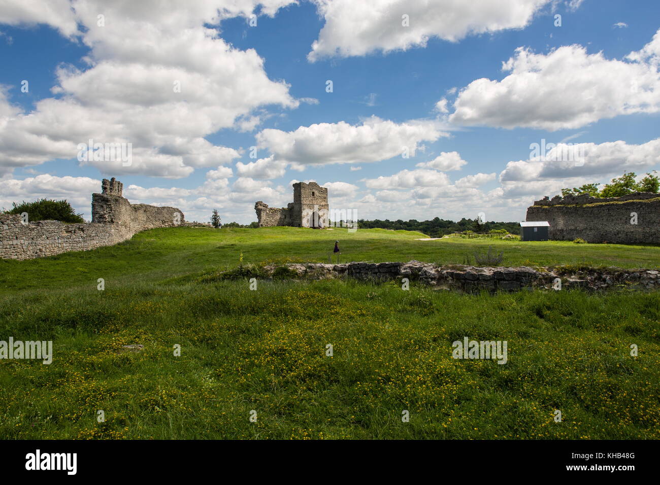 Famous Ukrainian landmark: scenic summer view of the ruins of ancient ...