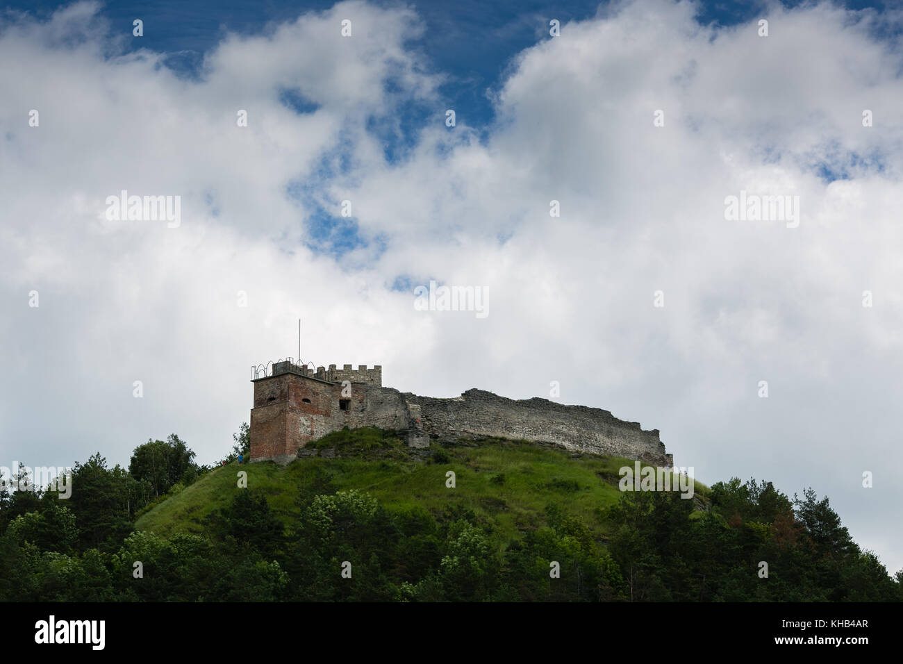 Famous Ukrainian landmark: scenic summer view of the ruins of ancient ...