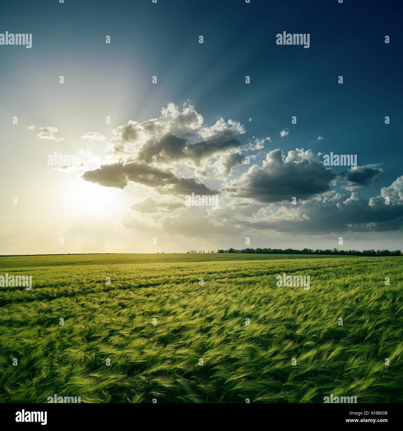 dramatic sunset over green field Stock Photo - Alamy