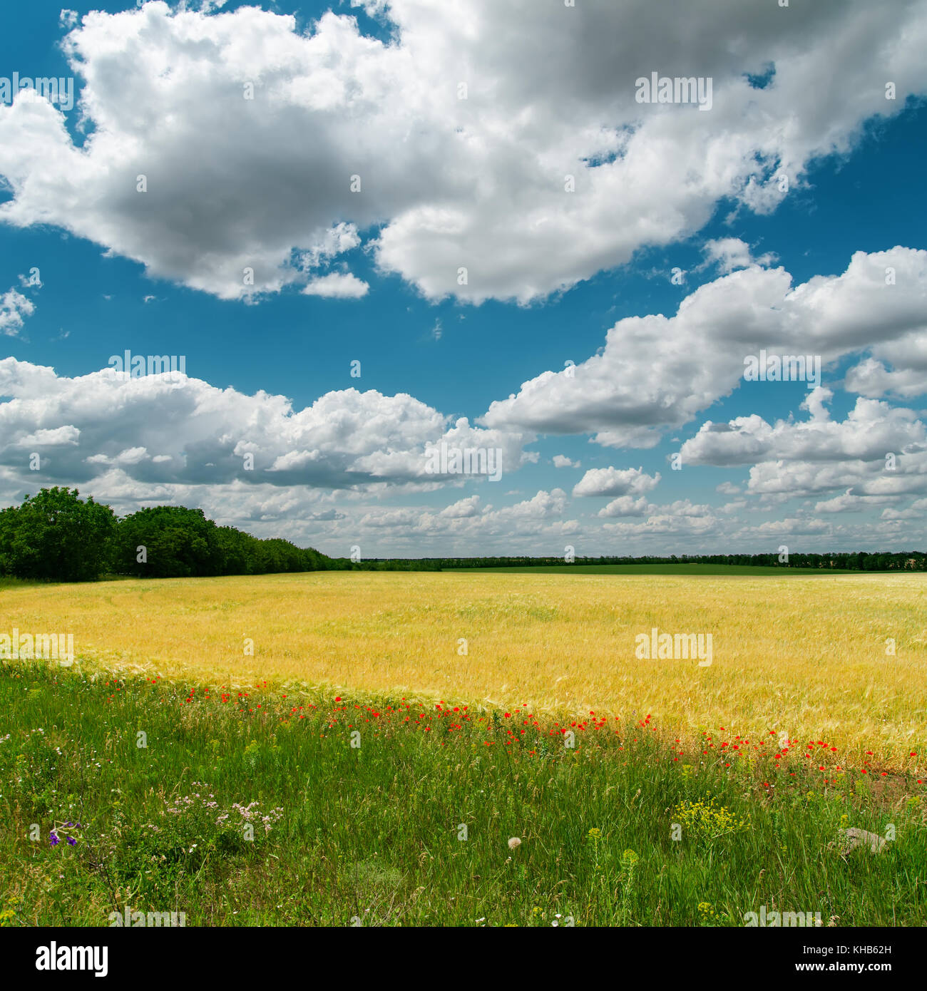 dramatic clouds over fields Stock Photo - Alamy