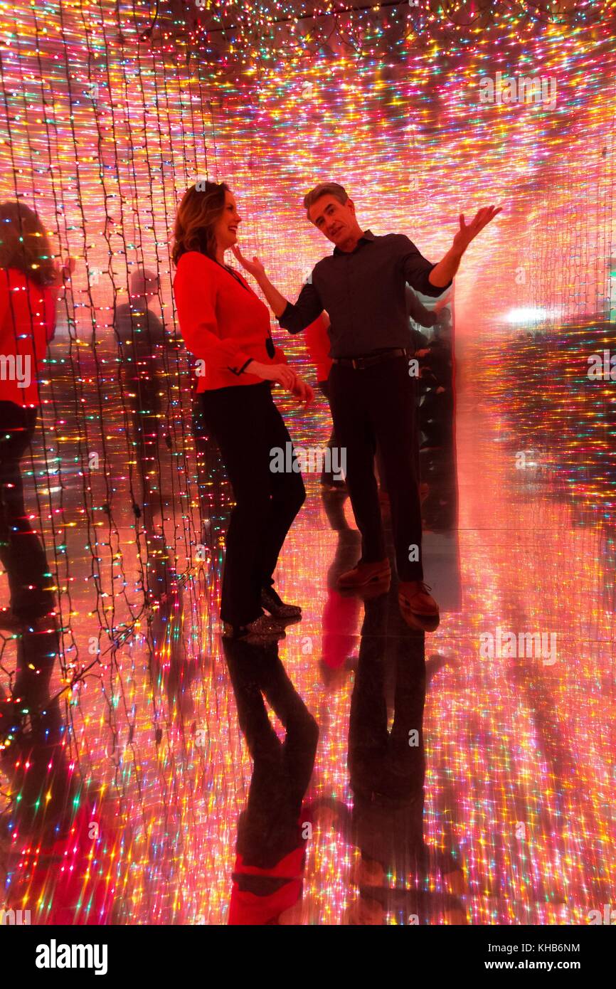 New York, NY, USA. 14th Nov, 2017. Ashley Williams, Dermot Mulroney at ...