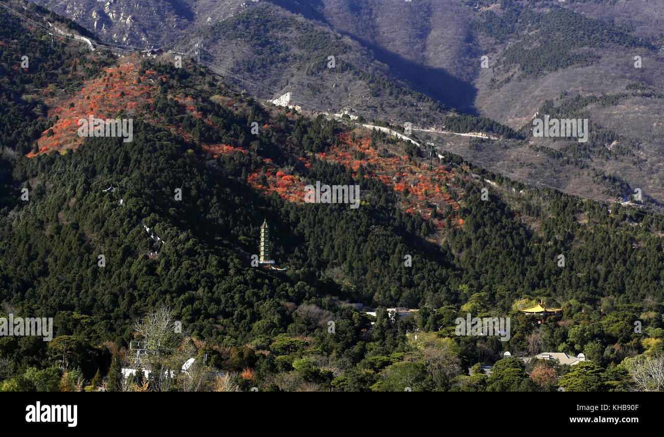 Fragrant hills park beijing autumn hi-res stock photography and images ...