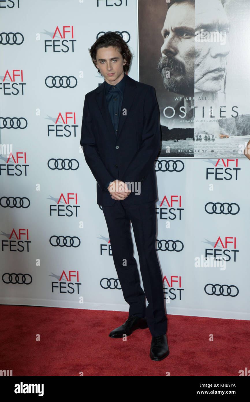 Tcl Chinese Theatre, USA. 14th Nov, 2017. Timothee Chalamet attends the ...