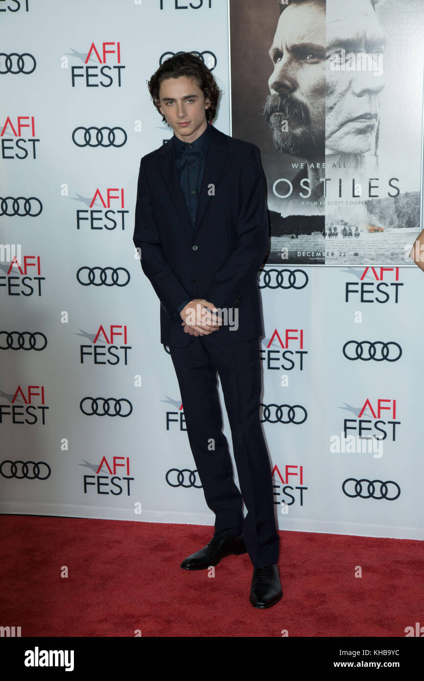 Tcl Chinese Theatre, USA. 14th Nov, 2017. Timothee Chalamet attends the ...