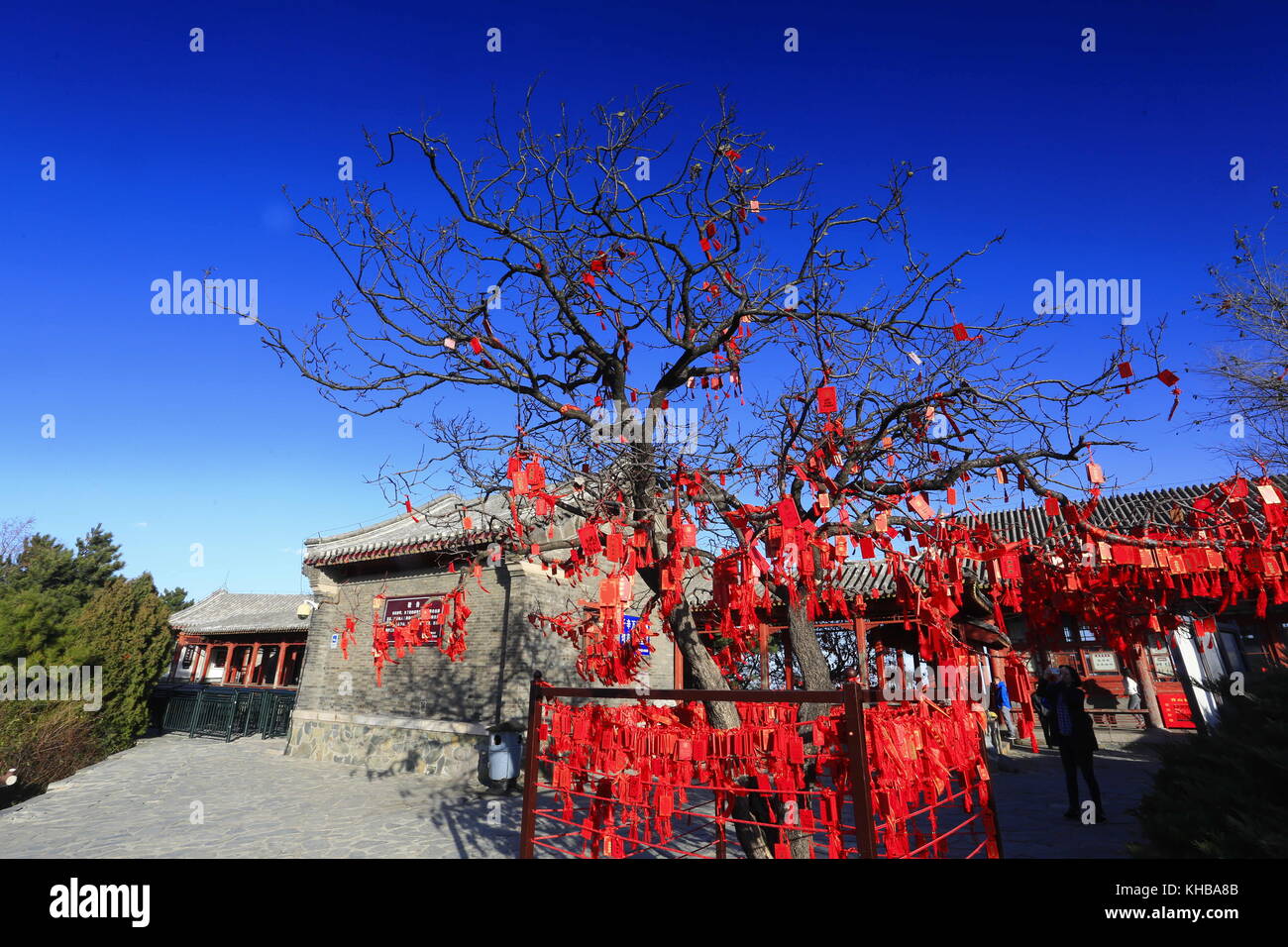 Fragrant hills park beijing autumn hi-res stock photography and images ...