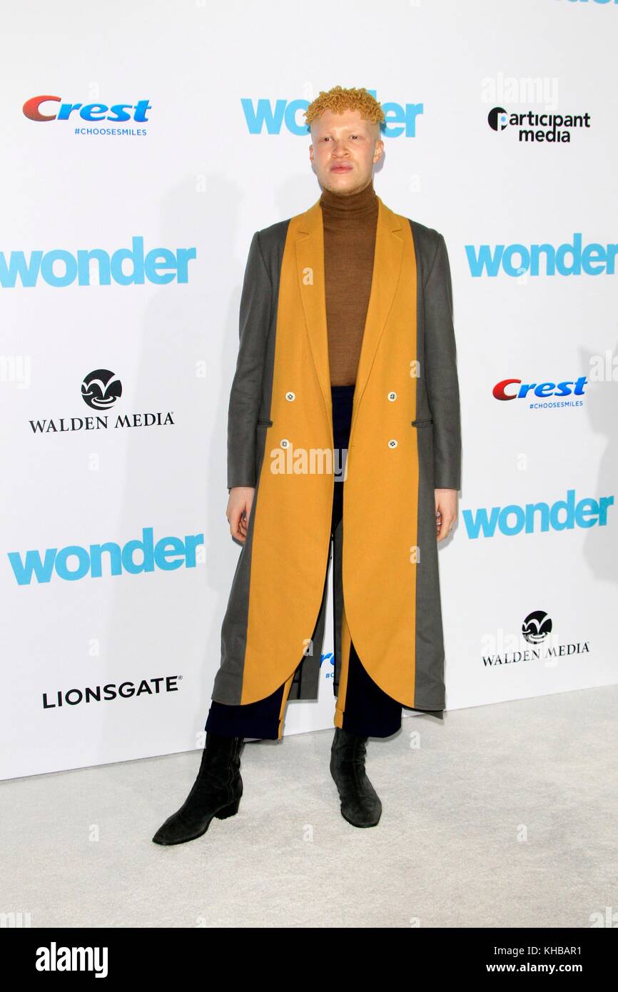 Los Angeles, CA, USA. 14th Nov, 2017. Shaun Ross at arrivals for WONDER ...