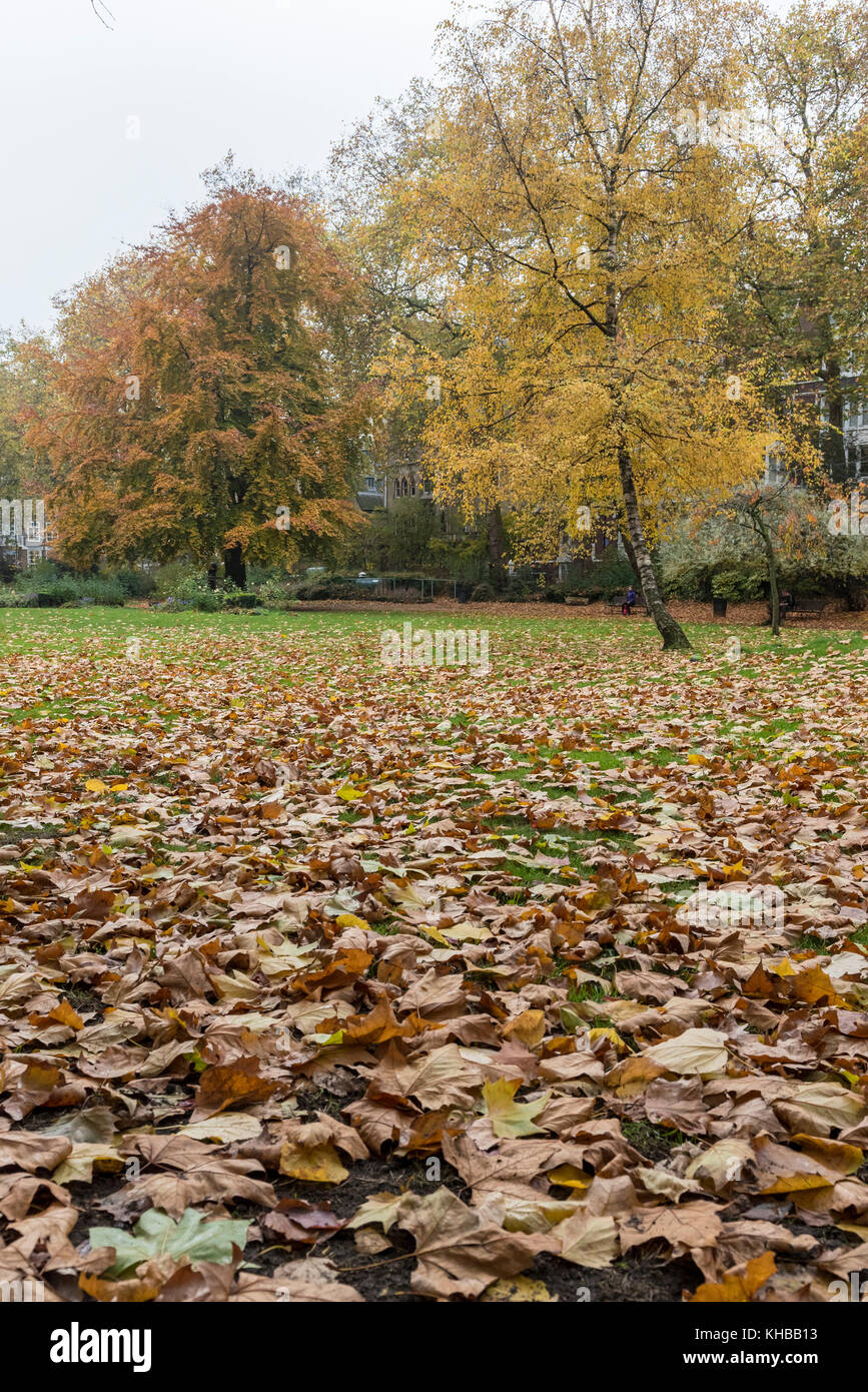 London, UK. 15 November 2017. UK Weather. Autumnal colours in Gordon ...