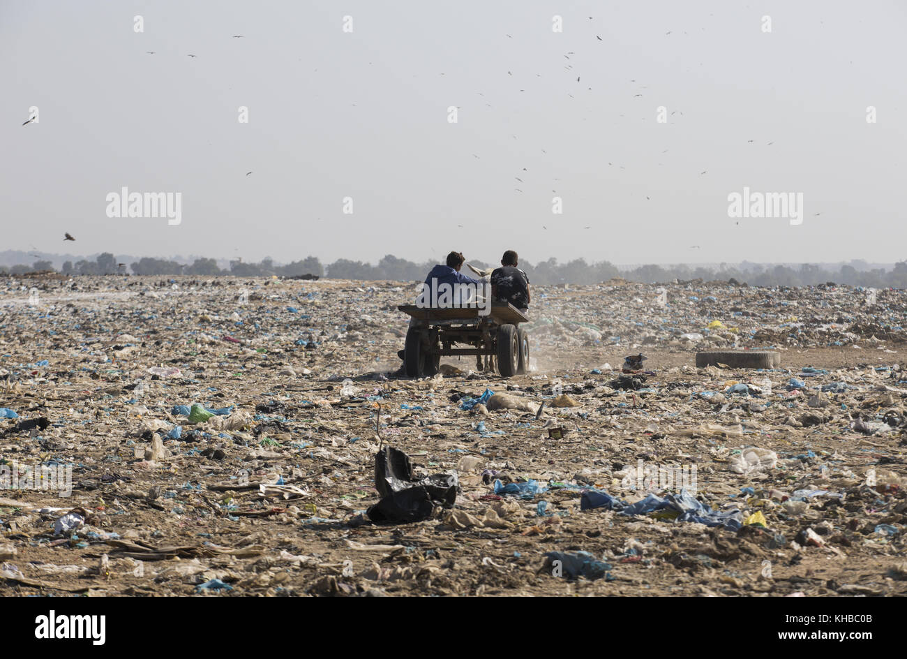 Gaza City, The Gaza Strip, Palestine. 15th Nov, 2017. A Palestinian man ...