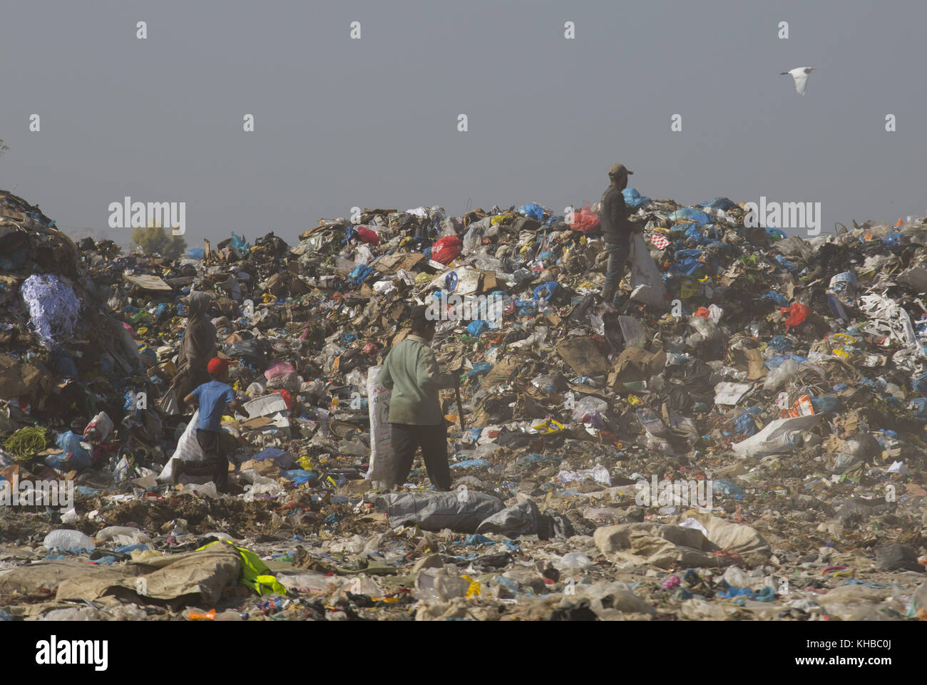 Gaza City, The Gaza Strip, Palestine. 15th Nov, 2017. A Palestinian man ...