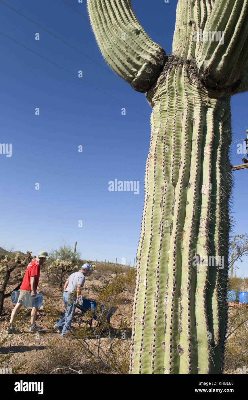 Ajo, Arizona, USA. 16th Oct, 2010. Humane Borders volunteers Lawn ...