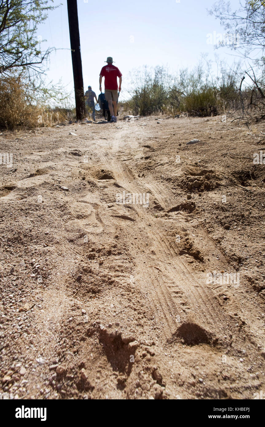 Ajo, Arizona, USA. 16th Oct, 2010. Humane Borders volunteer John Asher ...
