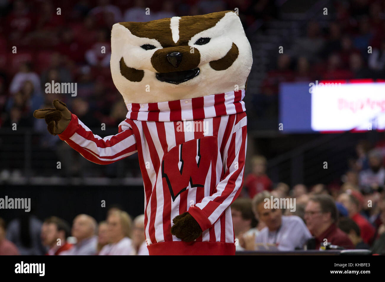 Madison, WI, USA. 12th Nov, 2017. Bucky badger entertains the crowd ...