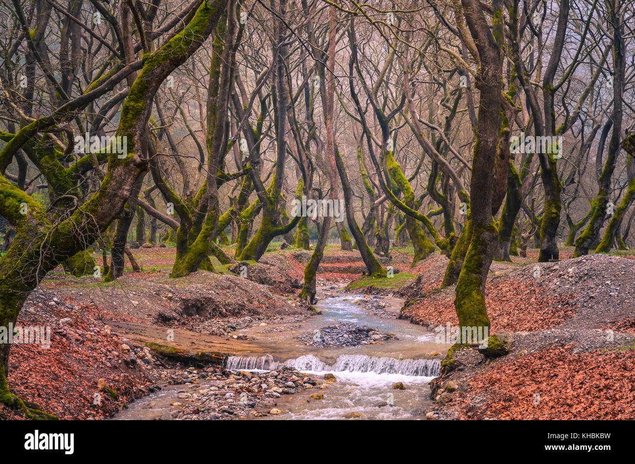 Planitero the breathtaking village, as it is surrounded by a dense ...