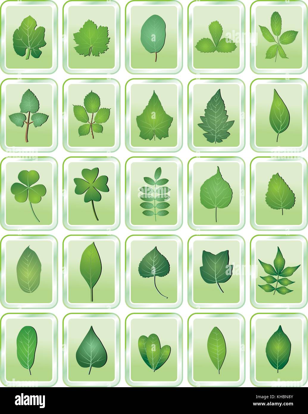 spring background with leafs - vector illustration Stock Vector Image ...