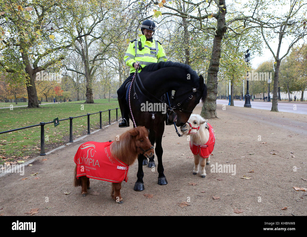 Inspector Simon Rooke of the Metropolitan Police, riding Quixote, is ...