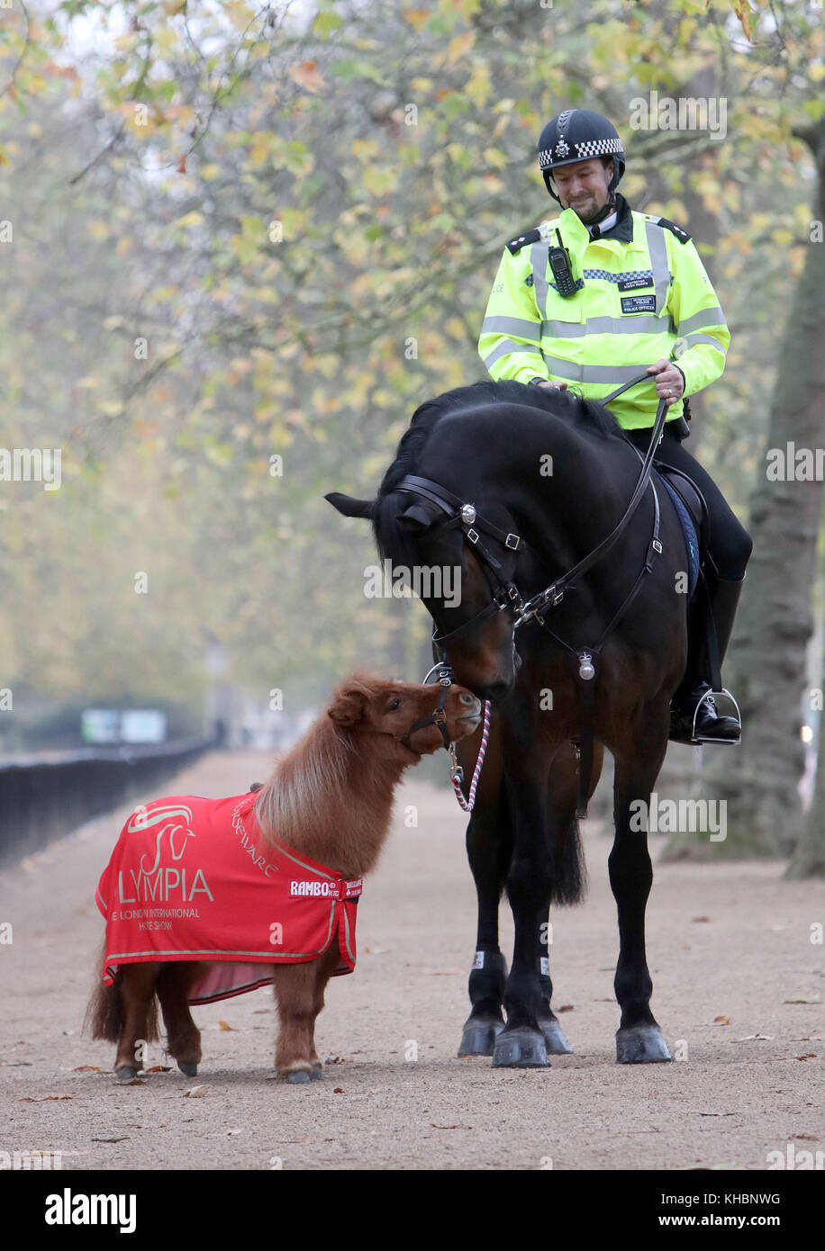 Inspector Simon Rooke of the Metropolitan Police, riding Quixote, is ...