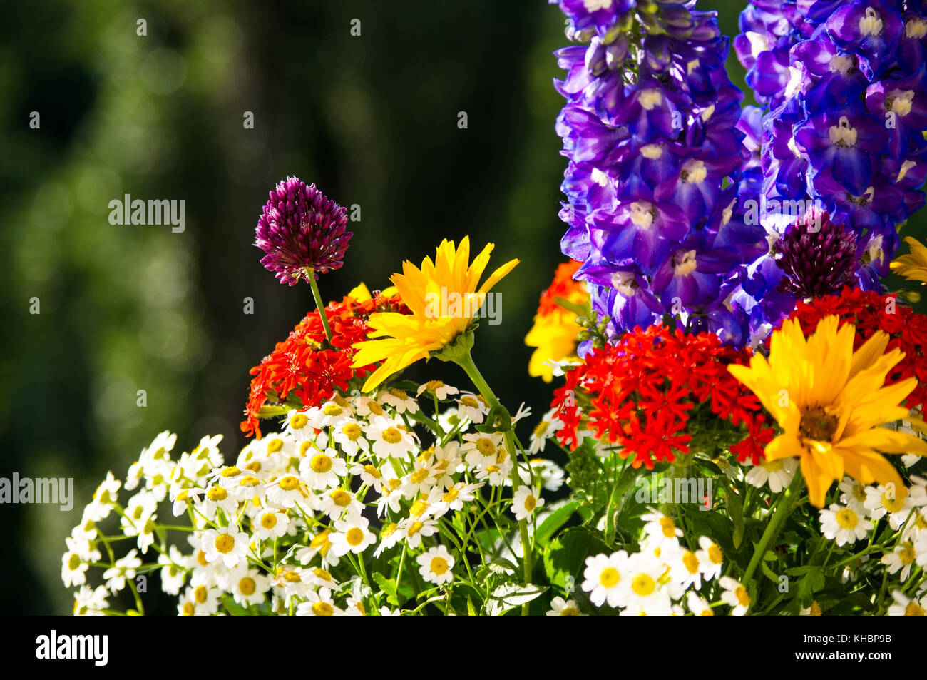 a colorful bouquet of bright spring flowers of various types, close-up ...
