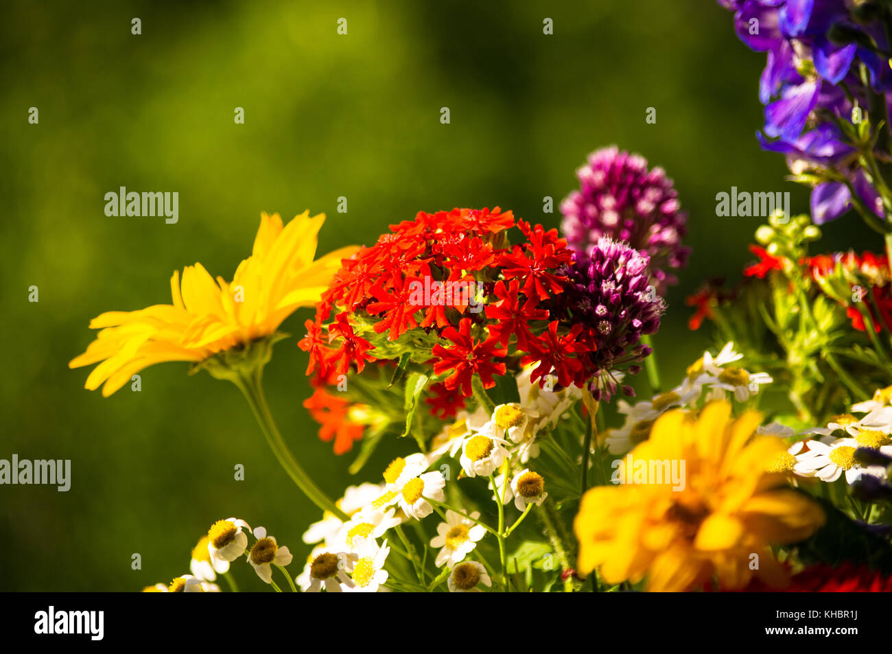 a colorful bouquet of bright spring flowers of various types, close-up ...