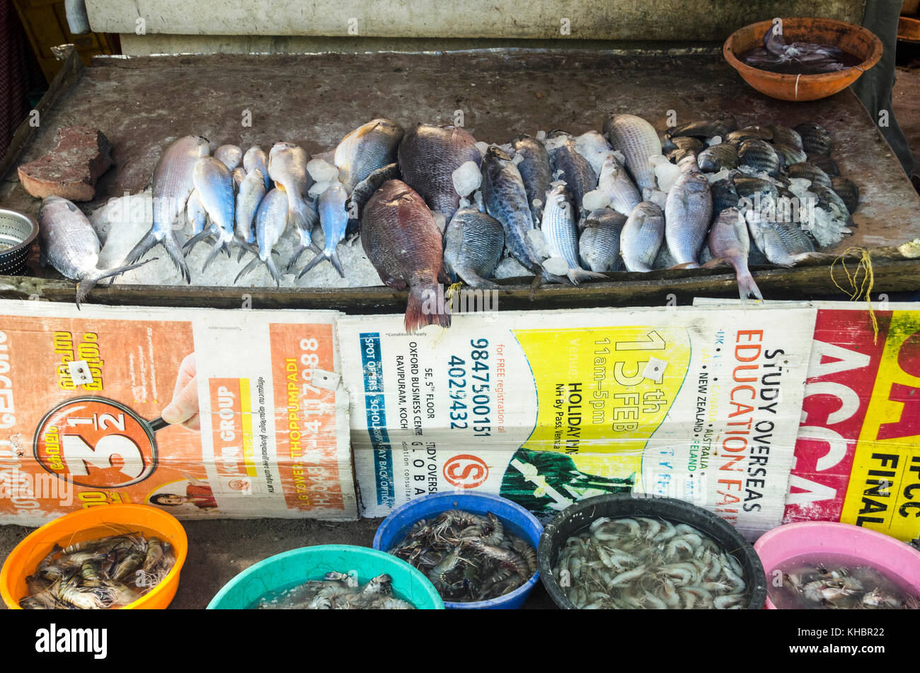 Fort cochin fish market india hi-res stock photography and images - Alamy