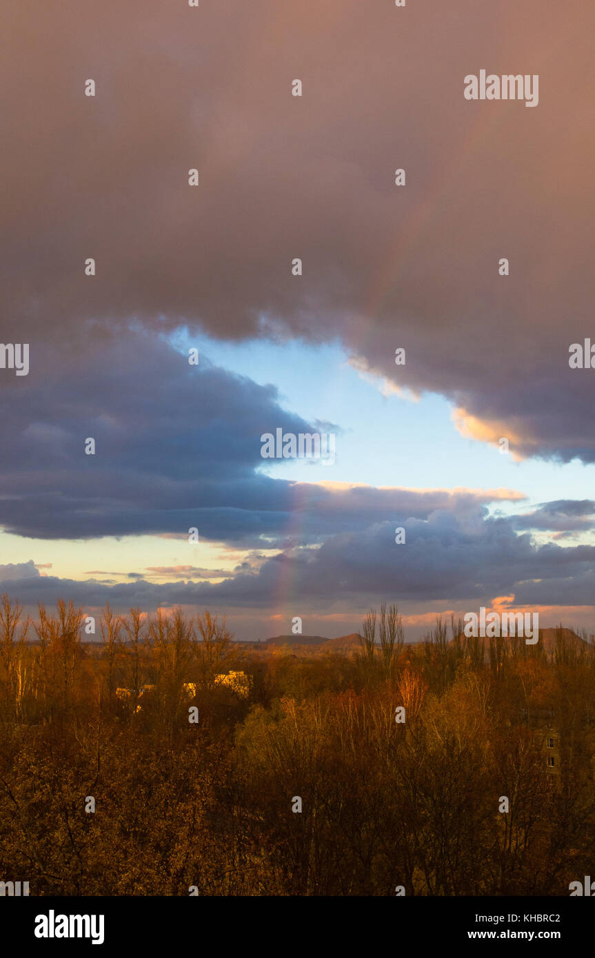 landscape with dramatic light - orange clouds and the outline of trees ...