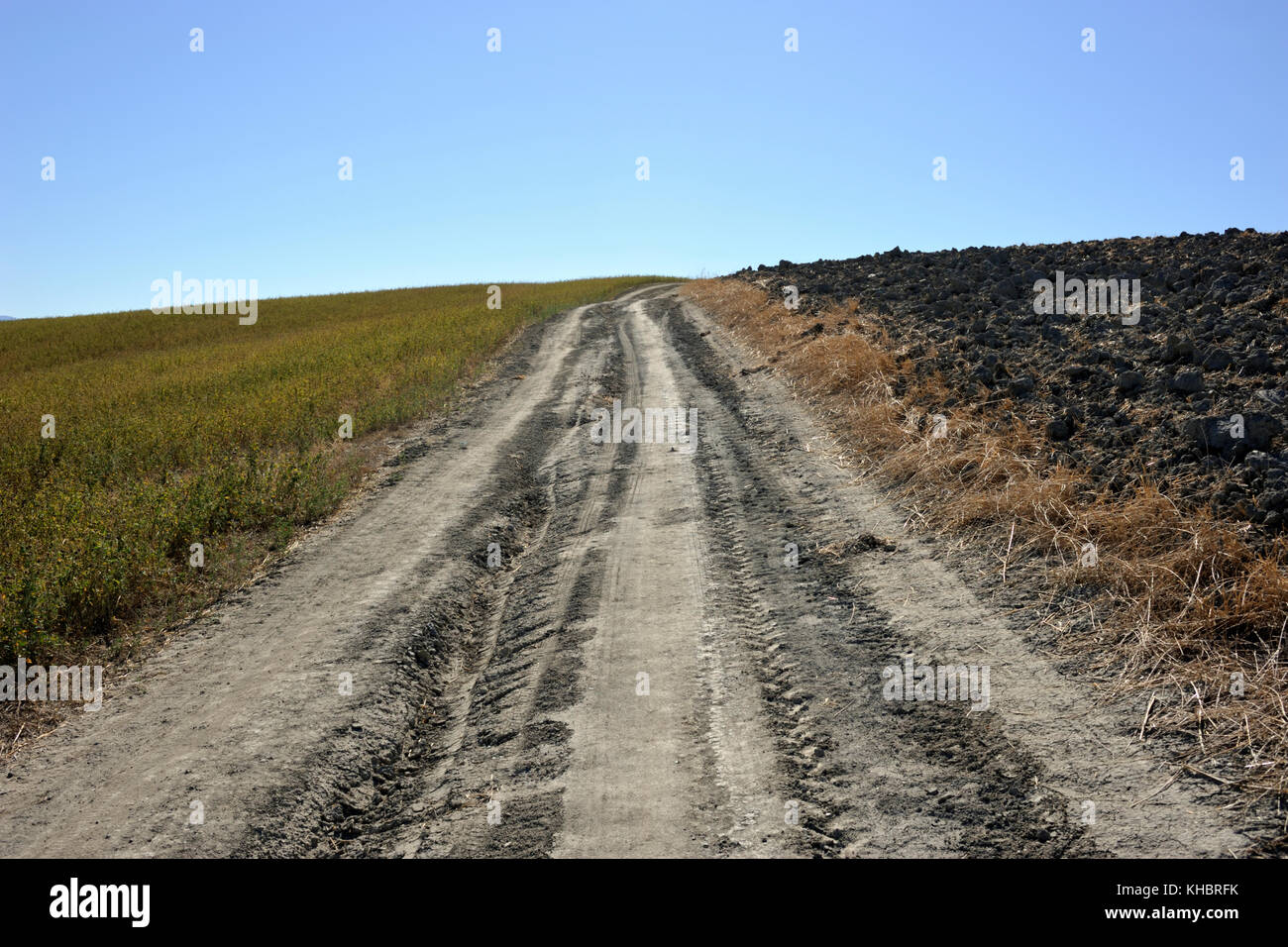 Italy, Tuscany, Crete Senesi, countryside path Stock Photo - Alamy