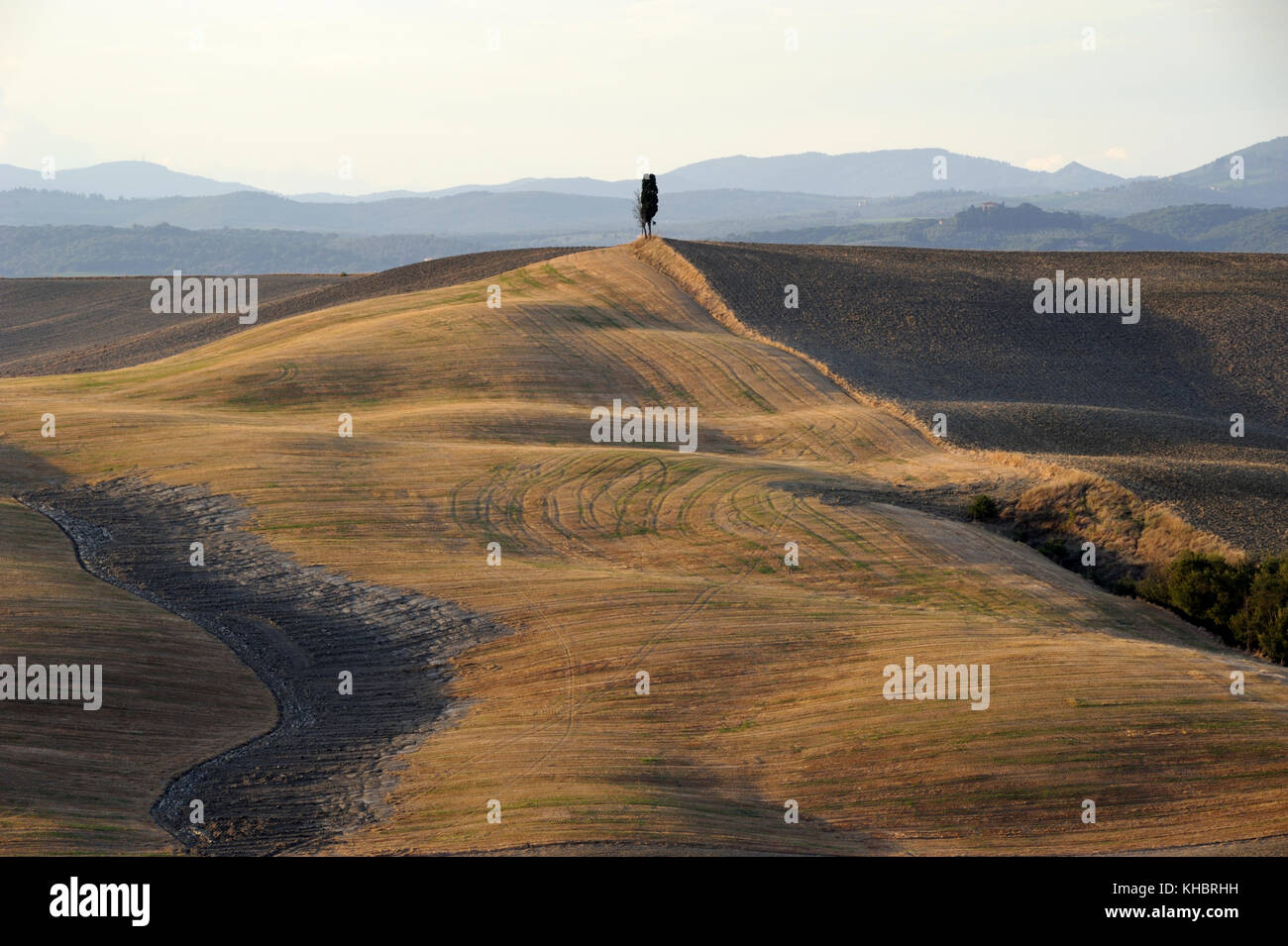 Italy, Tuscany, Crete Senesi, countryside Stock Photo - Alamy